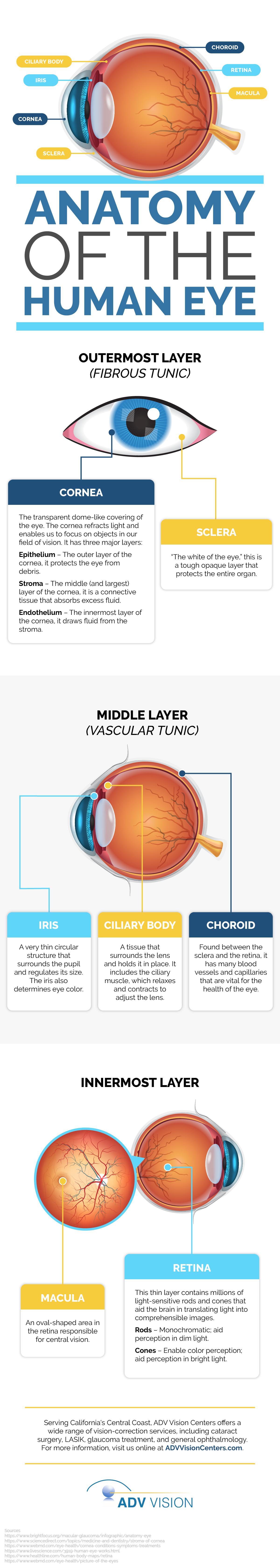 Anatomy of the Human Eye - ADV Vision Centers